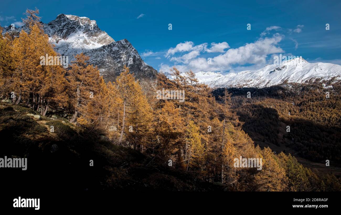 Sunset in the Alps mountains Stock Photo - Alamy