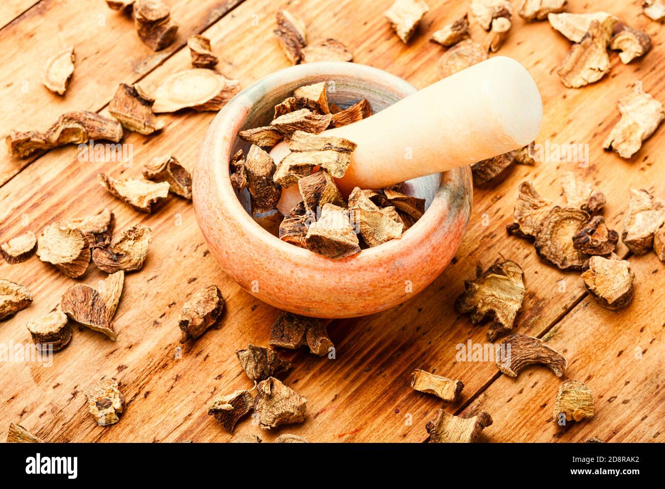 Medicinal root of elecampane in herbal medicine.Inula helenium.Medical ...