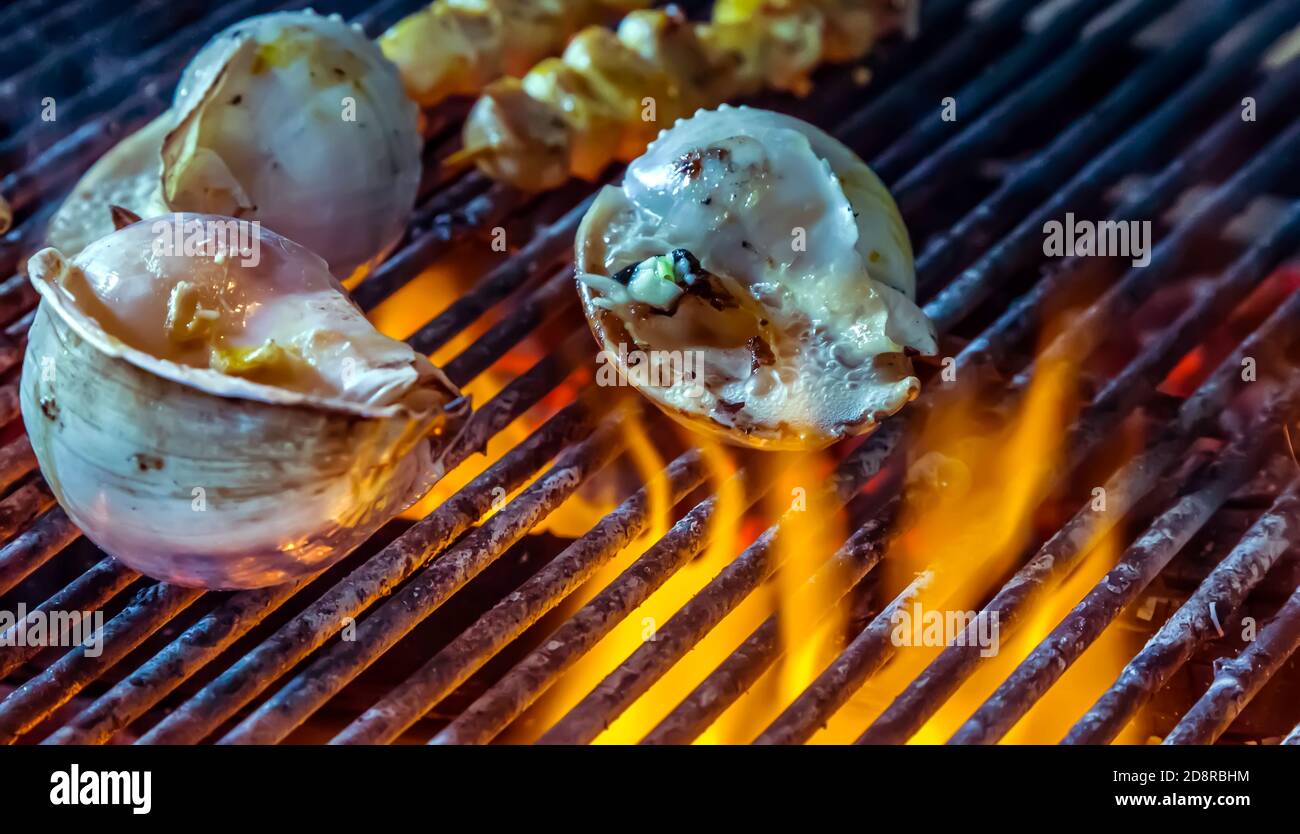 Barbecue meat rapa whelk grill cooking seafood asian scallop Stock ...