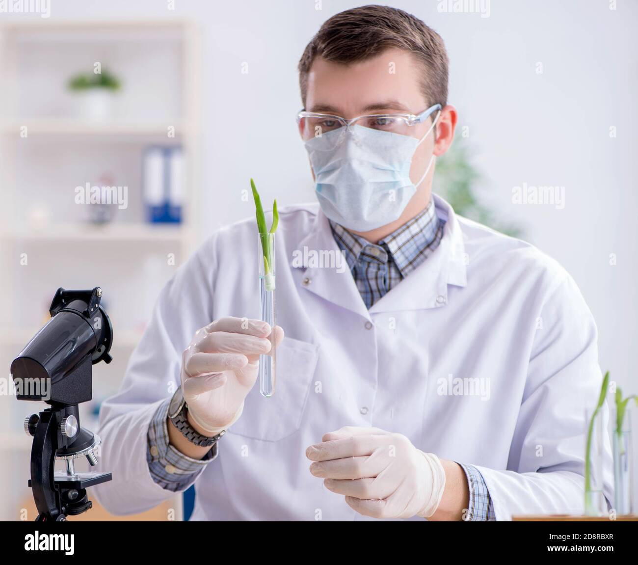 The male biochemist working in the lab on plants Stock Photo - Alamy