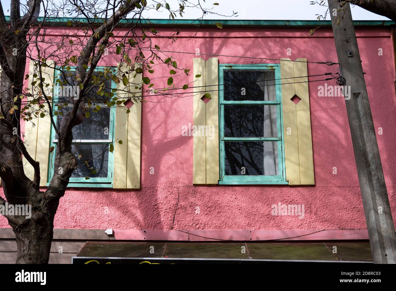 Pink building with shadow of tree, Newtown, Wellington, North Island ...