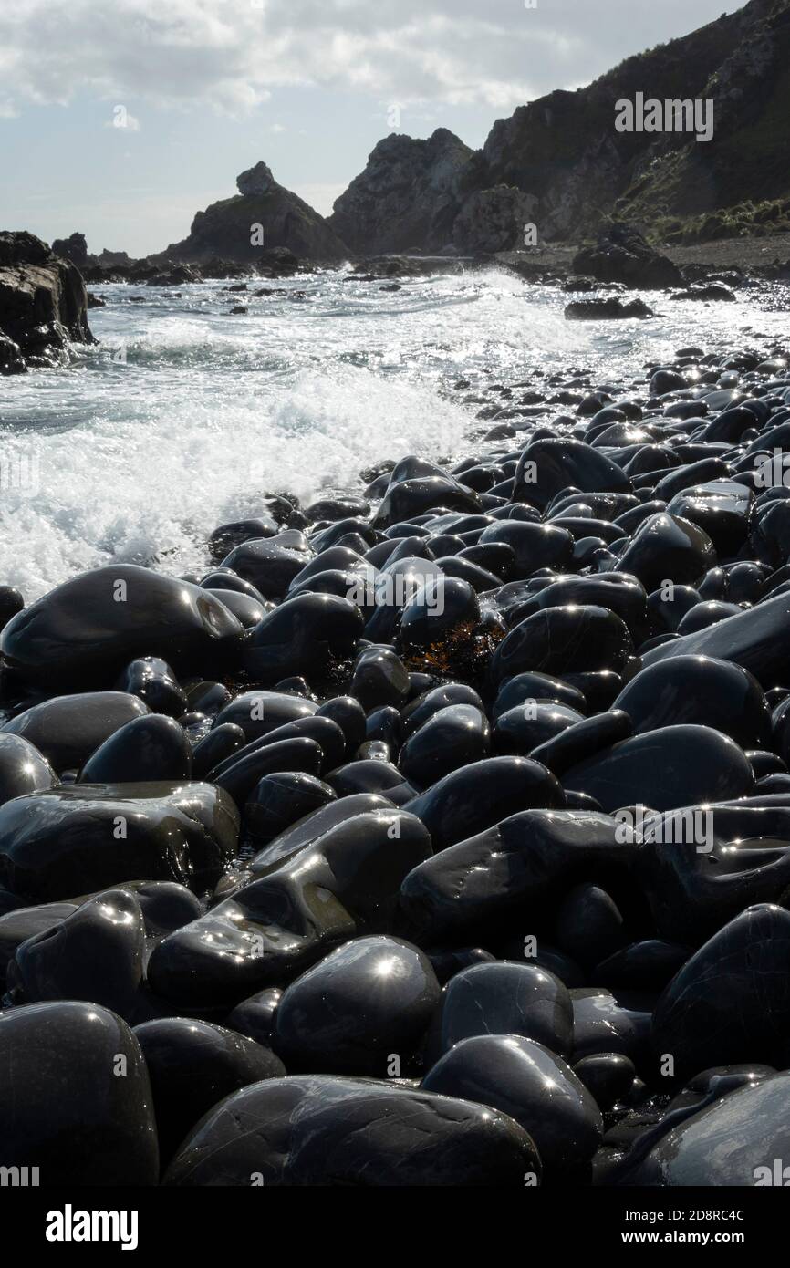 Wairaka hi-res stock photography and images - Alamy