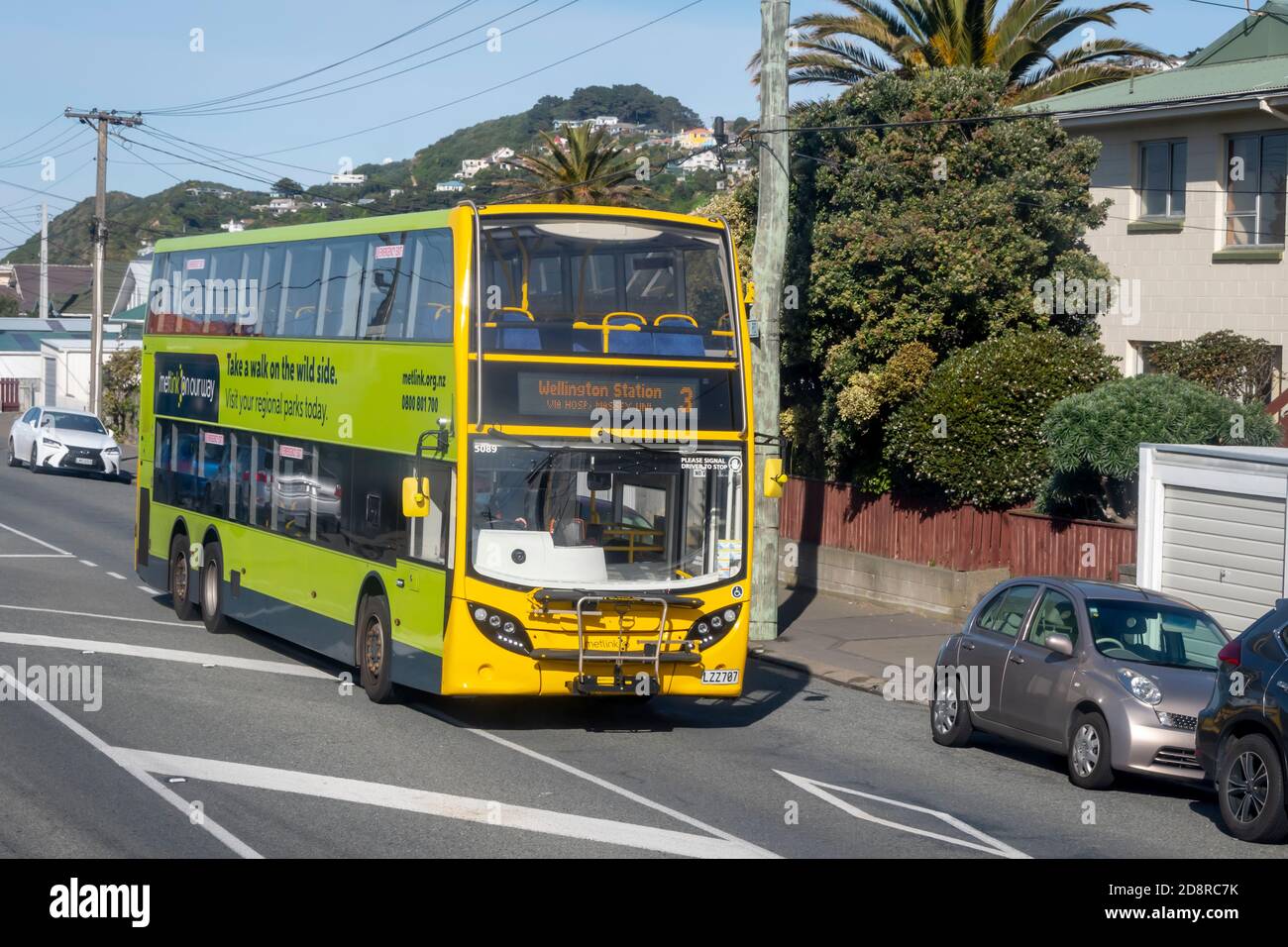 Lyall Bay, Wellington, North Island, New Zealand Stock Photo - Alamy