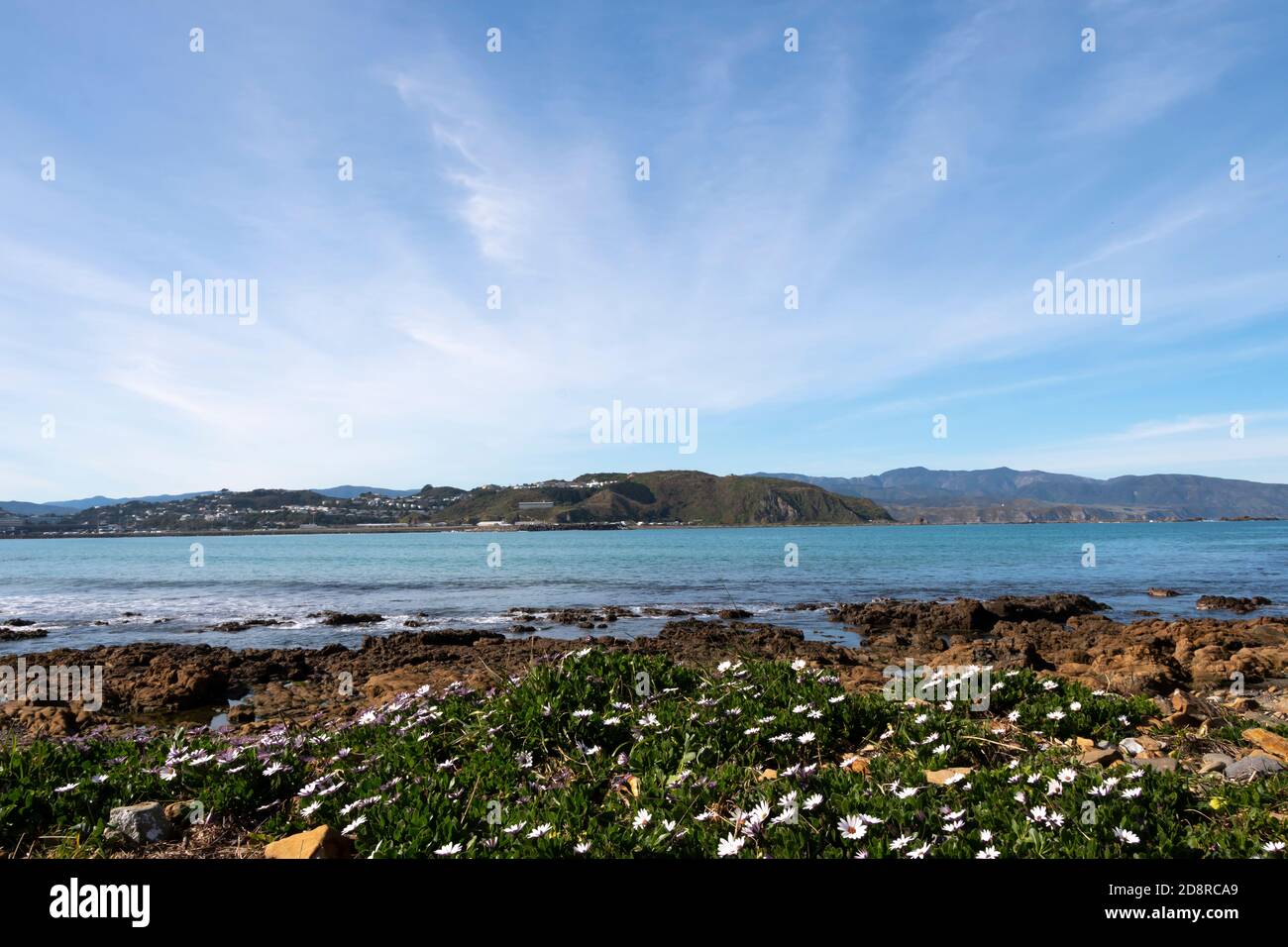 Lyall bay hi-res stock photography and images - Alamy