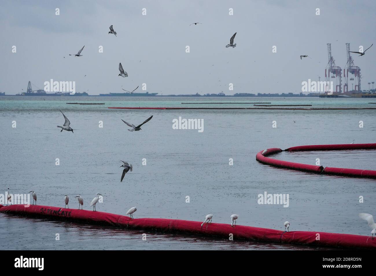 Manila, National Capital Region, Philippines. 1st Nov, 2020. Super ...