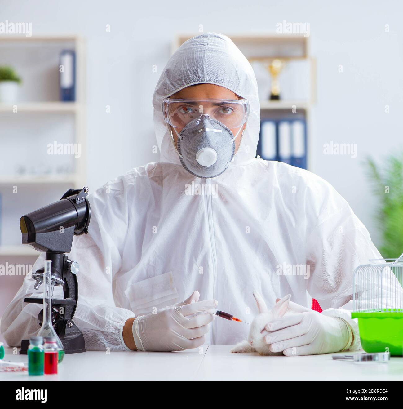 The scientist doing animal experiment in lab with rabbit Stock Photo ...
