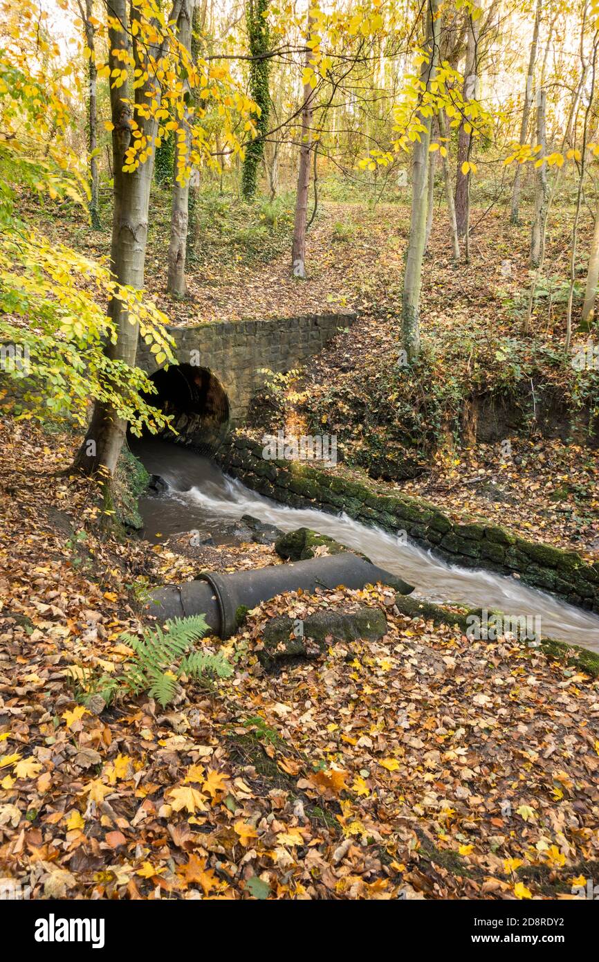 Autumn view of Biddick Burn as it flows through the Princess Anne Park ...