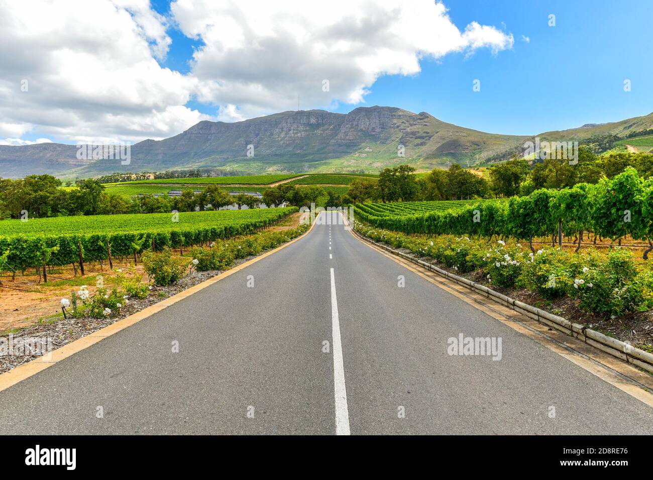 Winelands & Grapes Farms in Western Cape, South Africa are among mostly ...