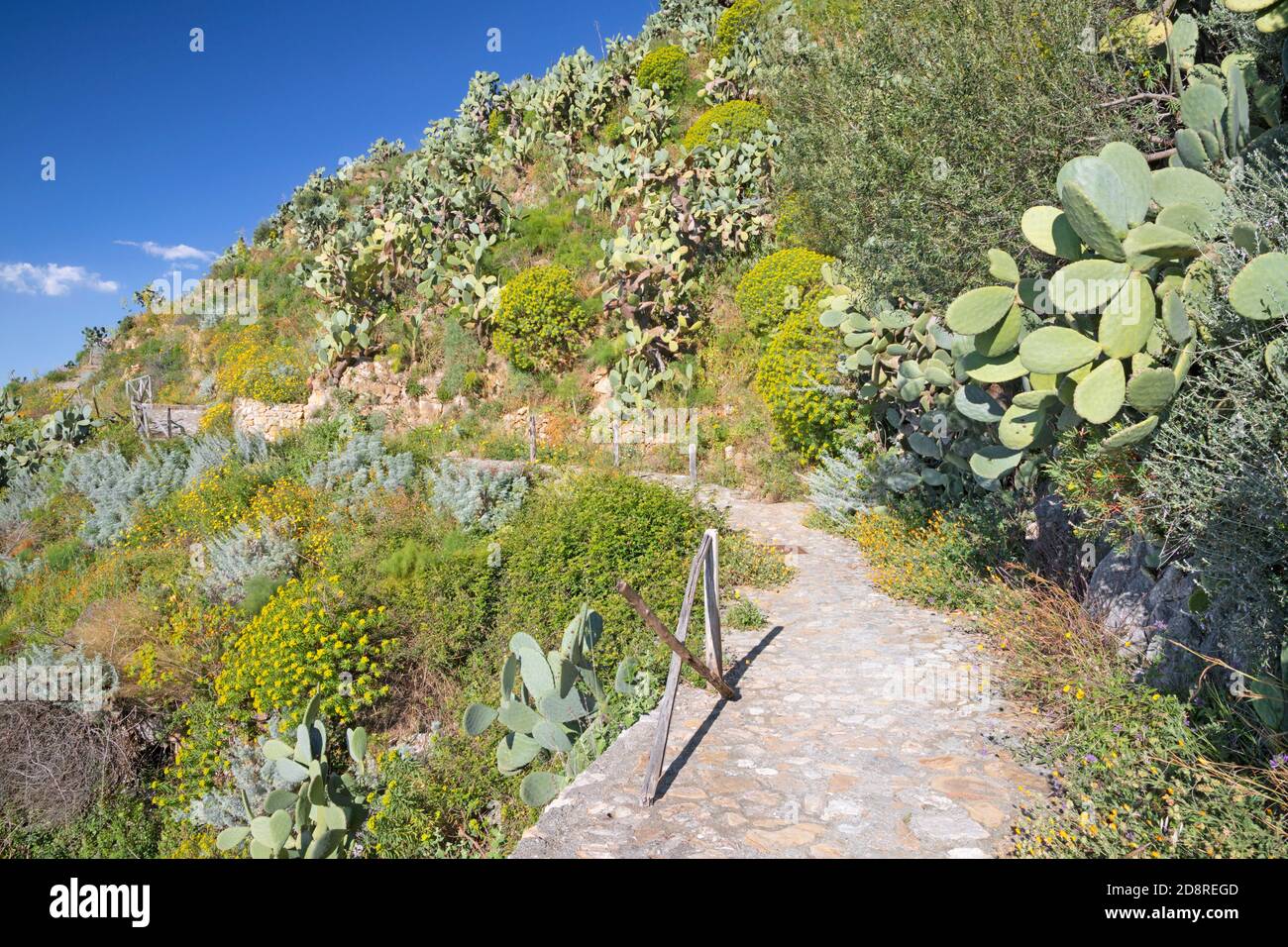 Taormina - The path among the spring mediterranean flowers Stock Photo ...