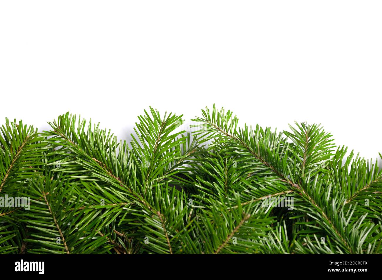 Christmas green frame isolated on white background Stock Photo - Alamy