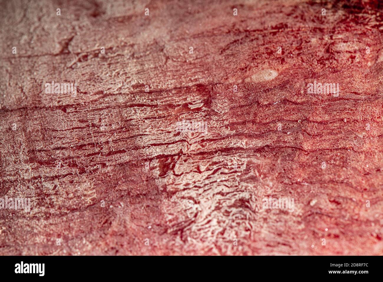 Meat macro hi-res stock photography and images - Alamy