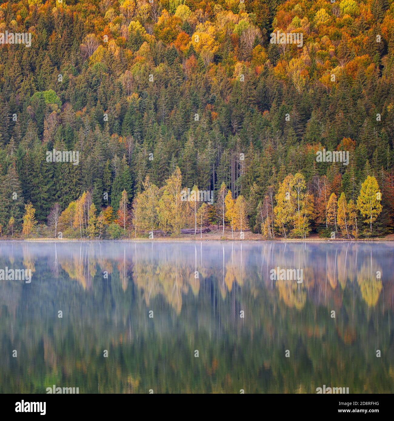 Autumn landscape at St. Ana Lake, in the heart of Transylvania, Romania ...