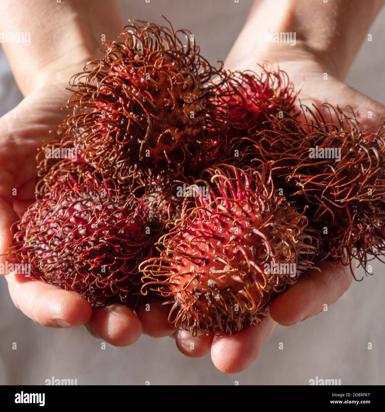 Letchi hi-res stock photography and images - Alamy