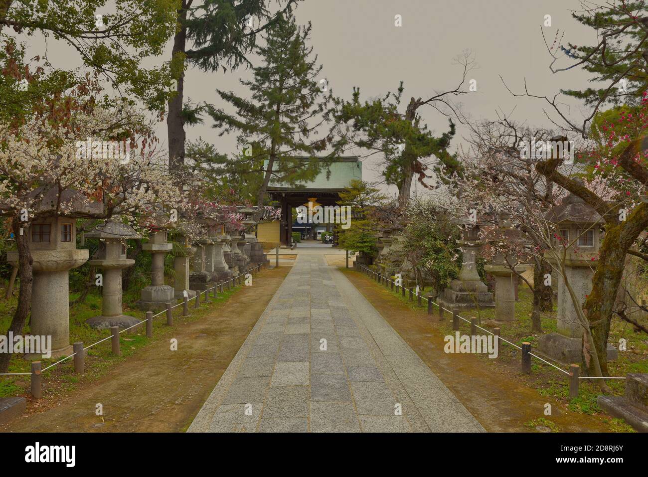 Walking to the castle way Stock Photo - Alamy