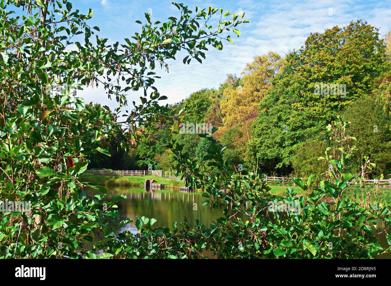 Through a bush hi-res stock photography and images - Alamy