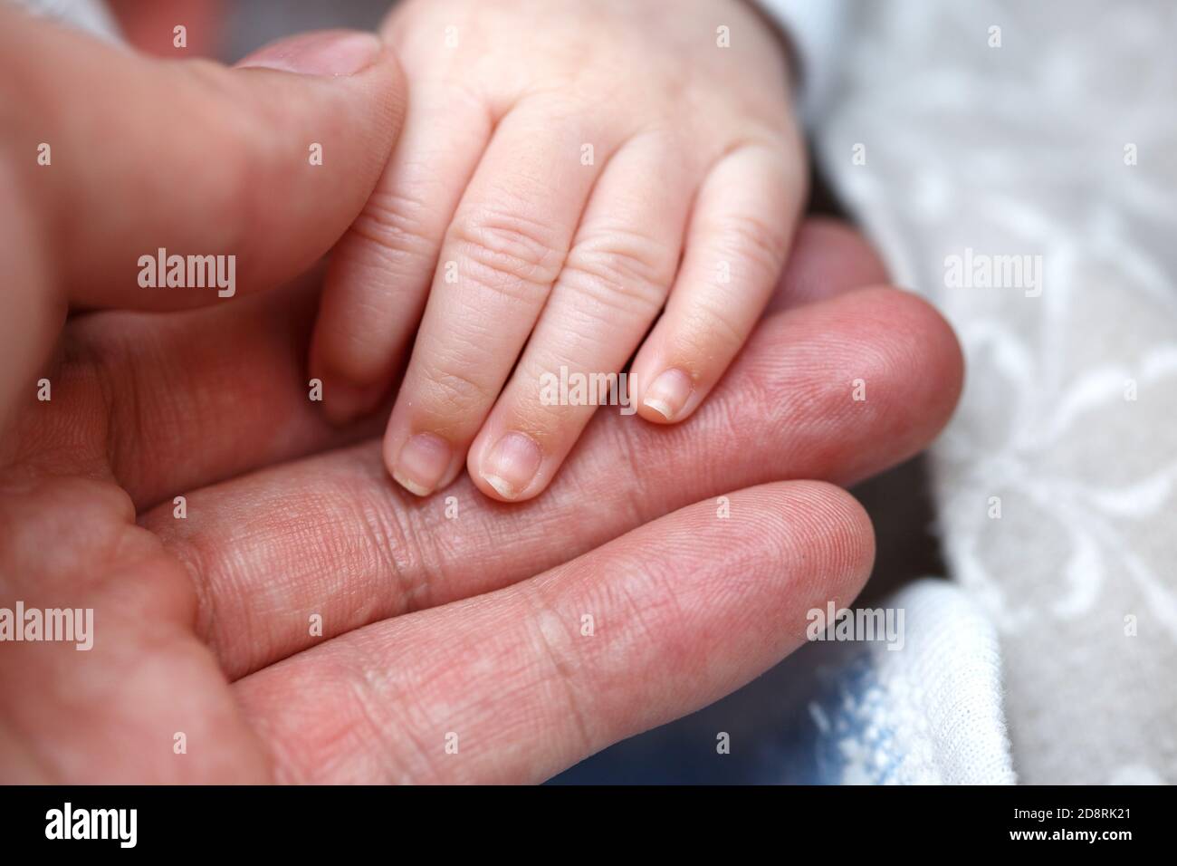 small fingers, hands of a newborn baby in a man's hand close-up . small ...