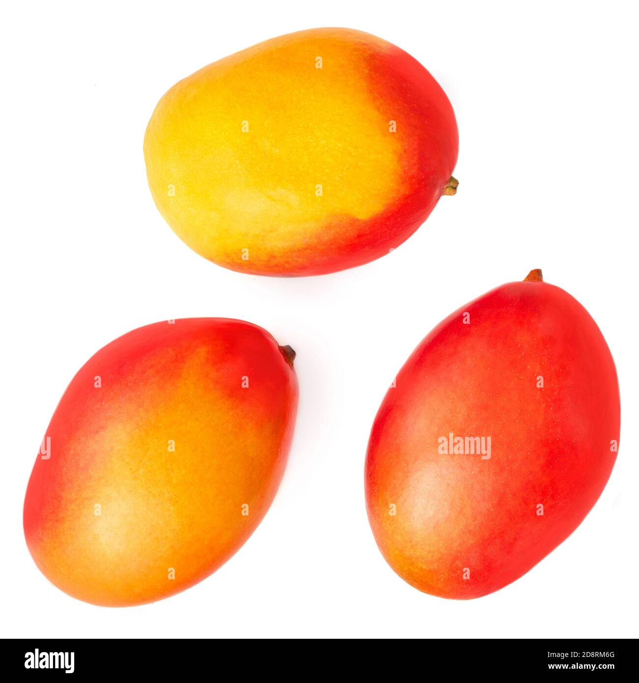 Creative layout made of whole mango fruit. Tropical abstract background ...