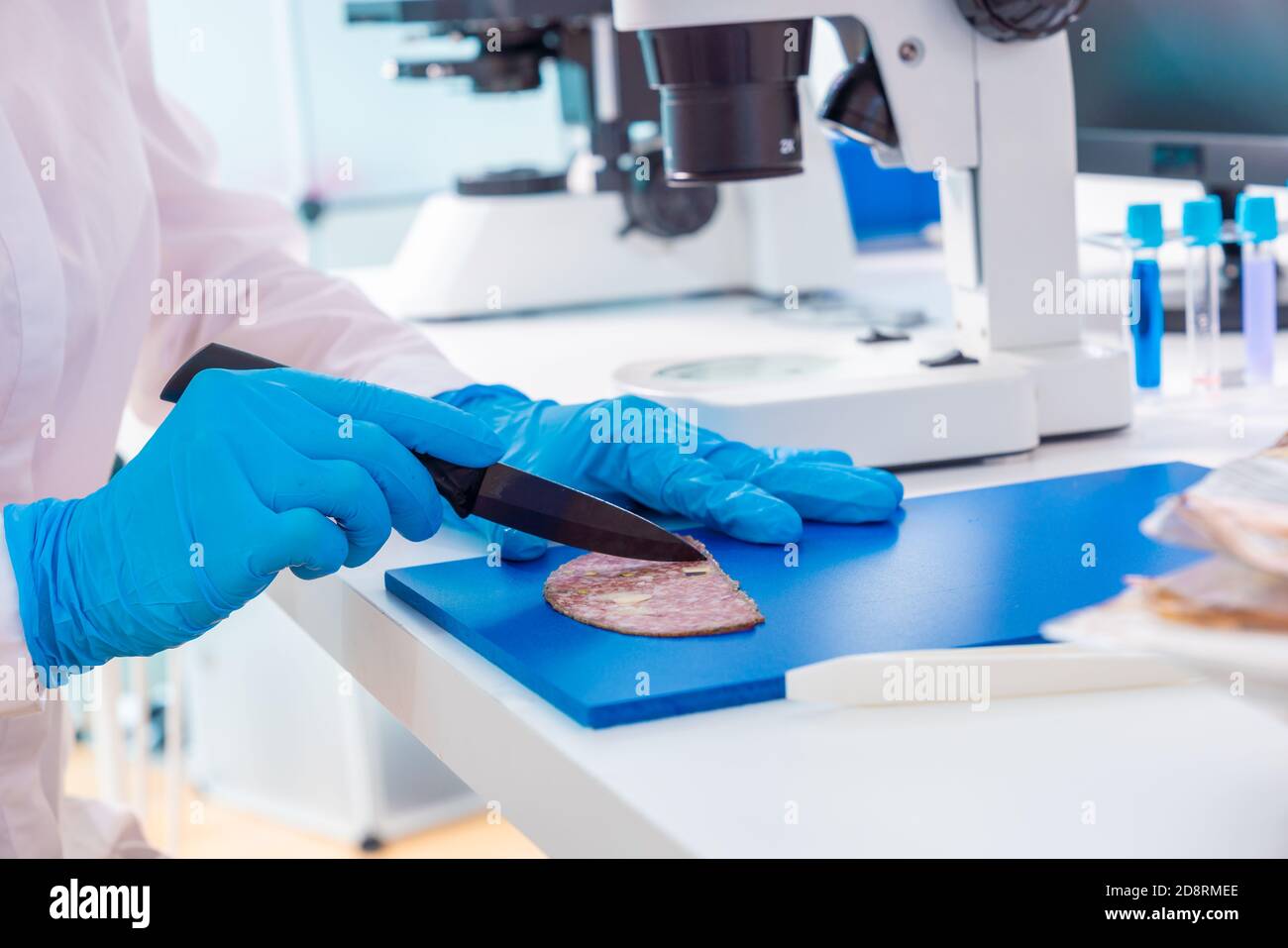 Inspection of meat and fish quality in the food quality laboratory ...