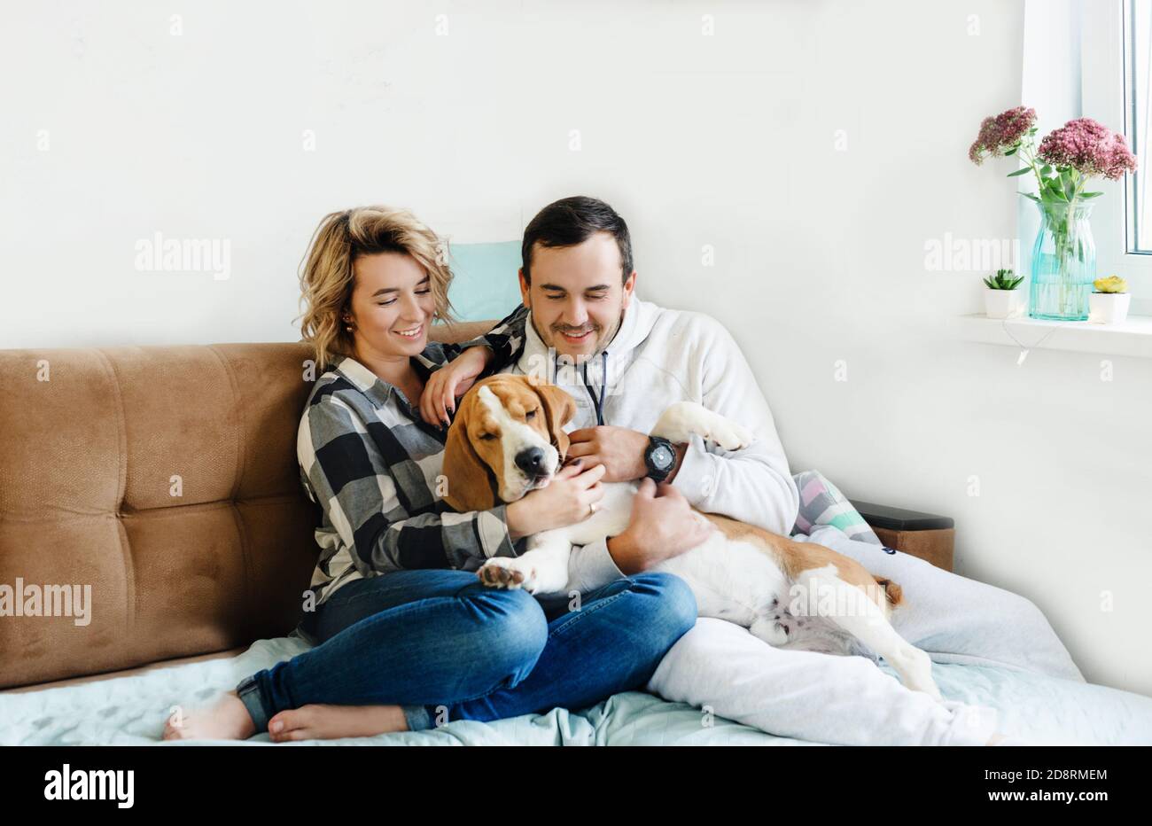 Woman hugs two dogs hi-res stock photography and images - Alamy