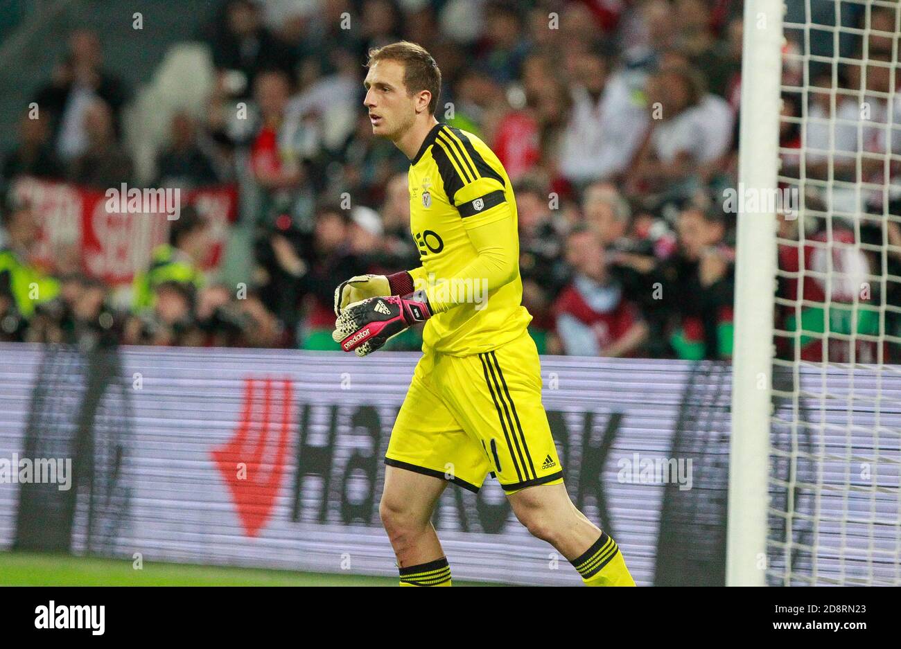 Oblak benfica hi-res stock photography and images - Alamy