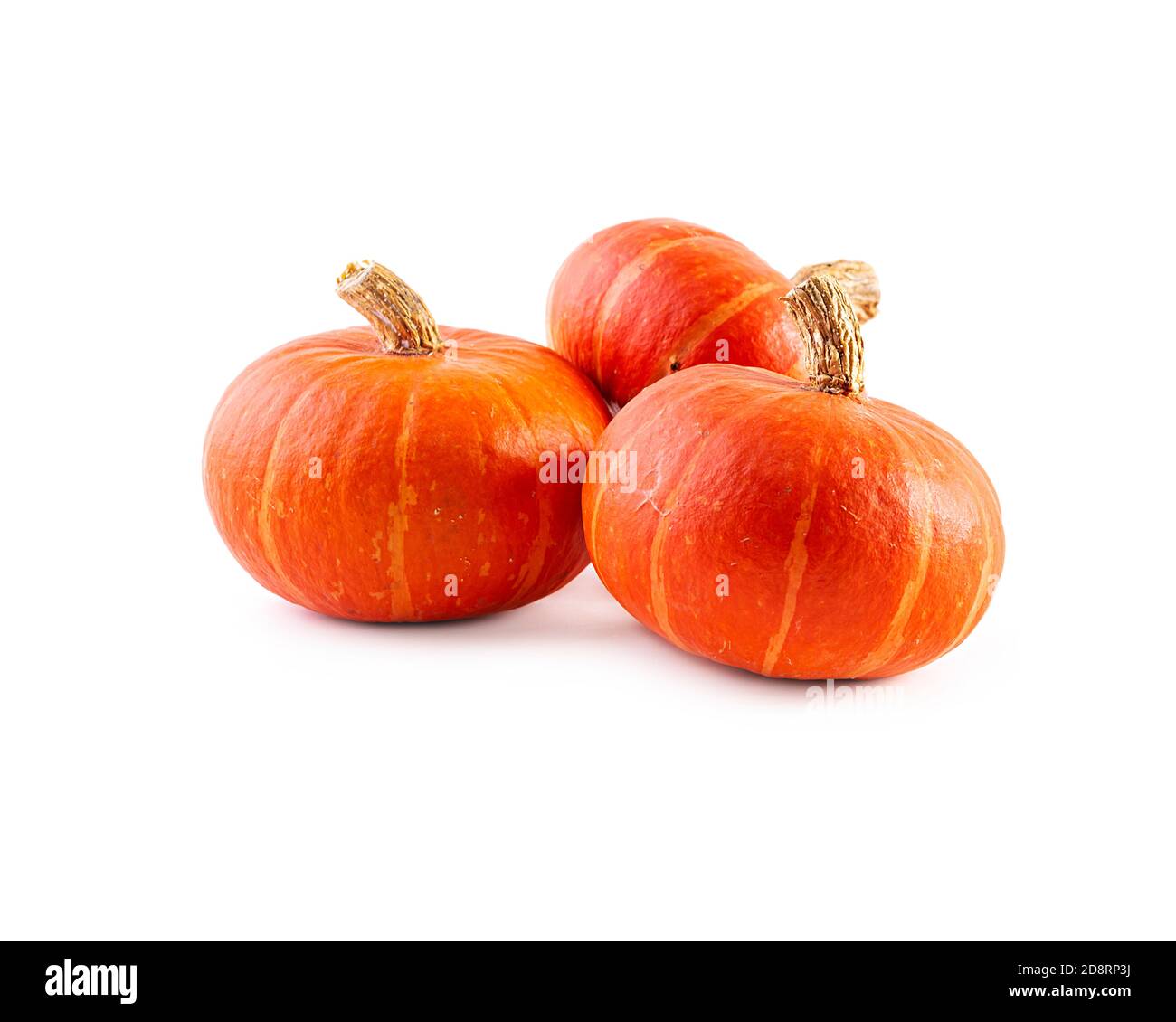Mini pumpkins isolated on a white background Stock Photo - Alamy