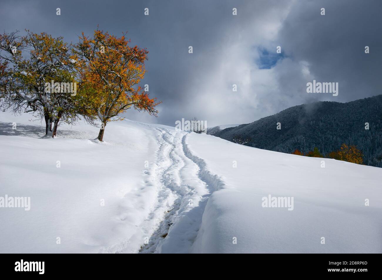 Autumn snow landscape hi-res stock photography and images - Alamy