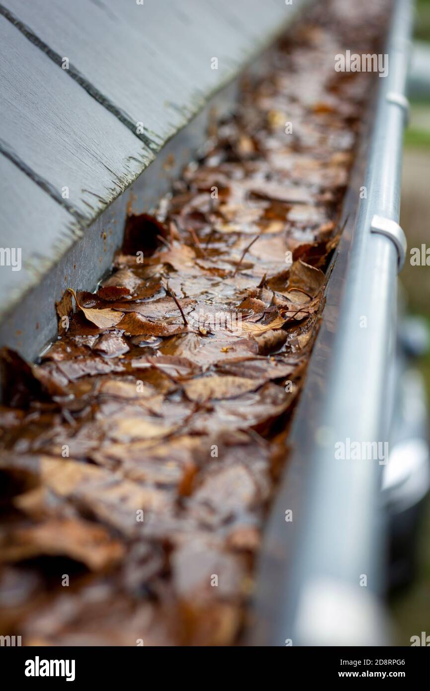 Gutter overflow hi-res stock photography and images - Alamy
