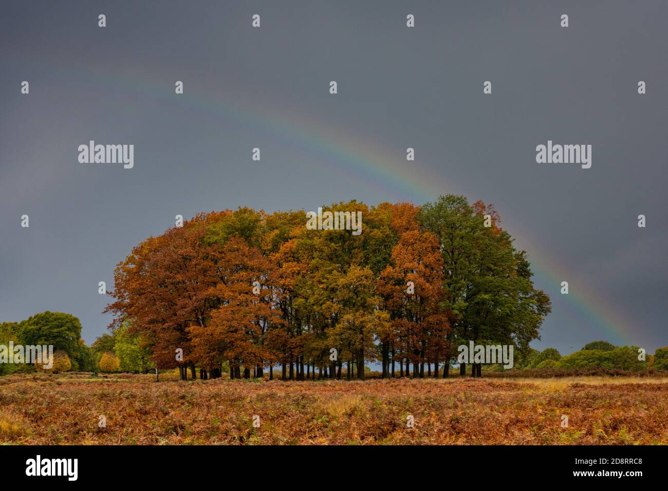 Rainbow colours in park hi-res stock photography and images - Alamy