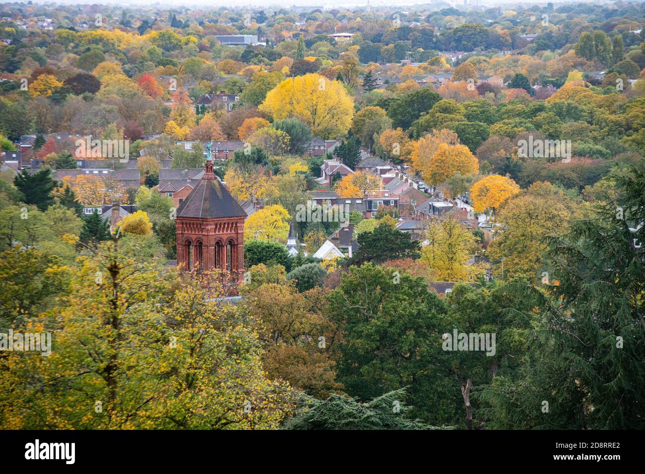 An autumnal view over South West London from Richmond Park Stock Photo ...