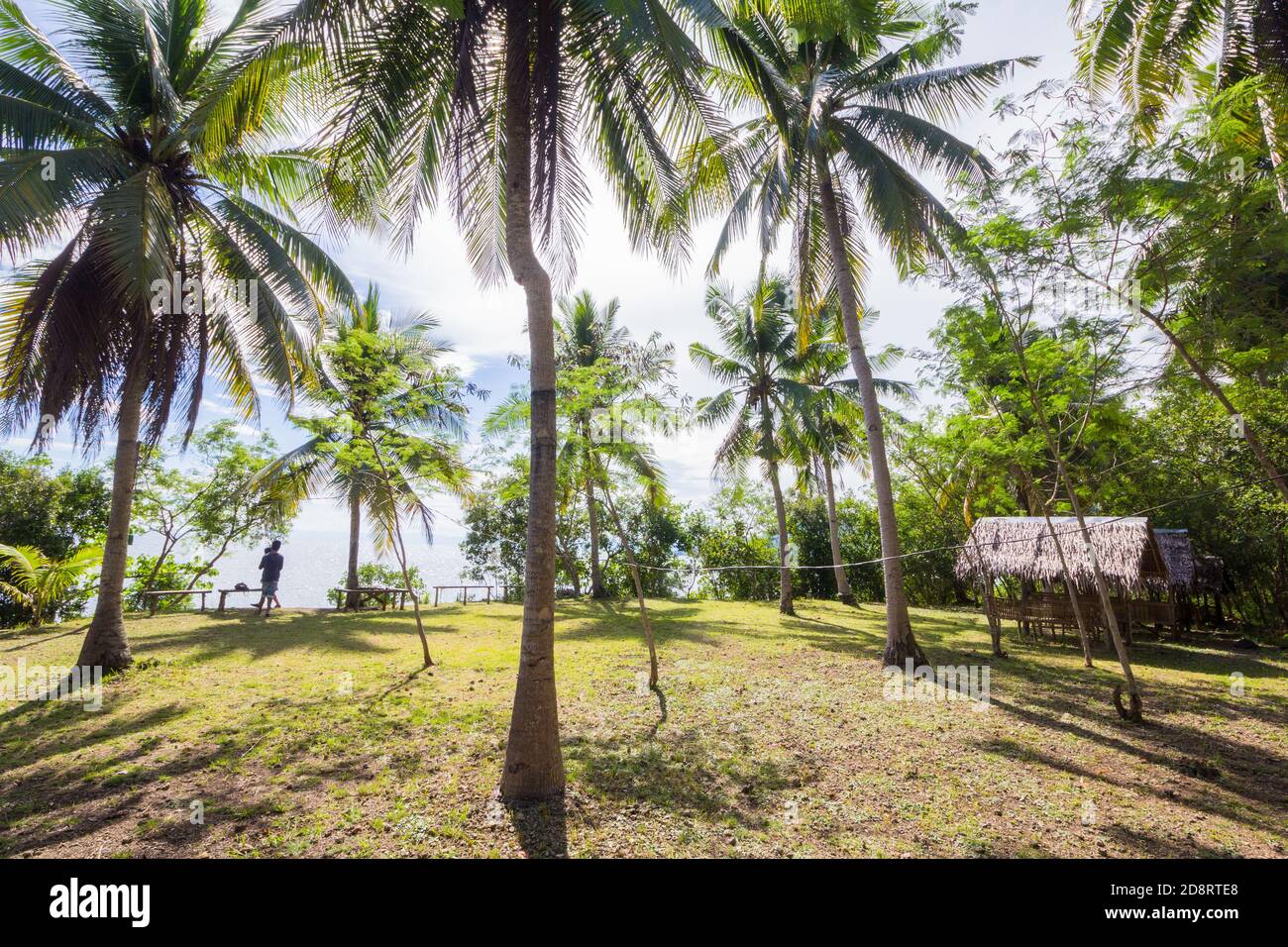 A bucolic scene in Bohol, Philippines Stock Photo - Alamy