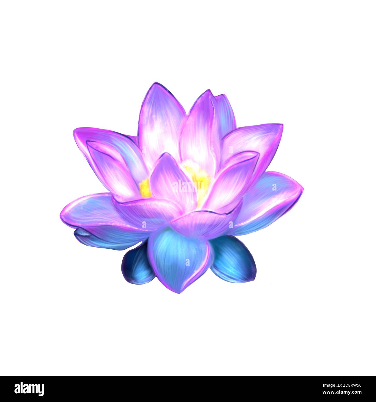 Beautiful Lily Lotus. A beautiful realistic illustration of a lilac ...