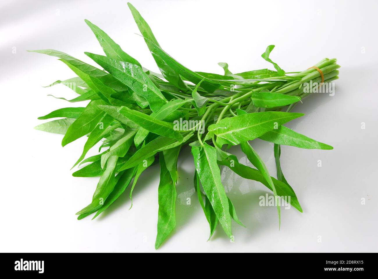 Kangkong hi-res stock photography and images - Alamy