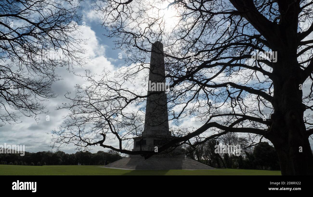 View of Wellington monument in Phoenix park through tree branches Stock ...