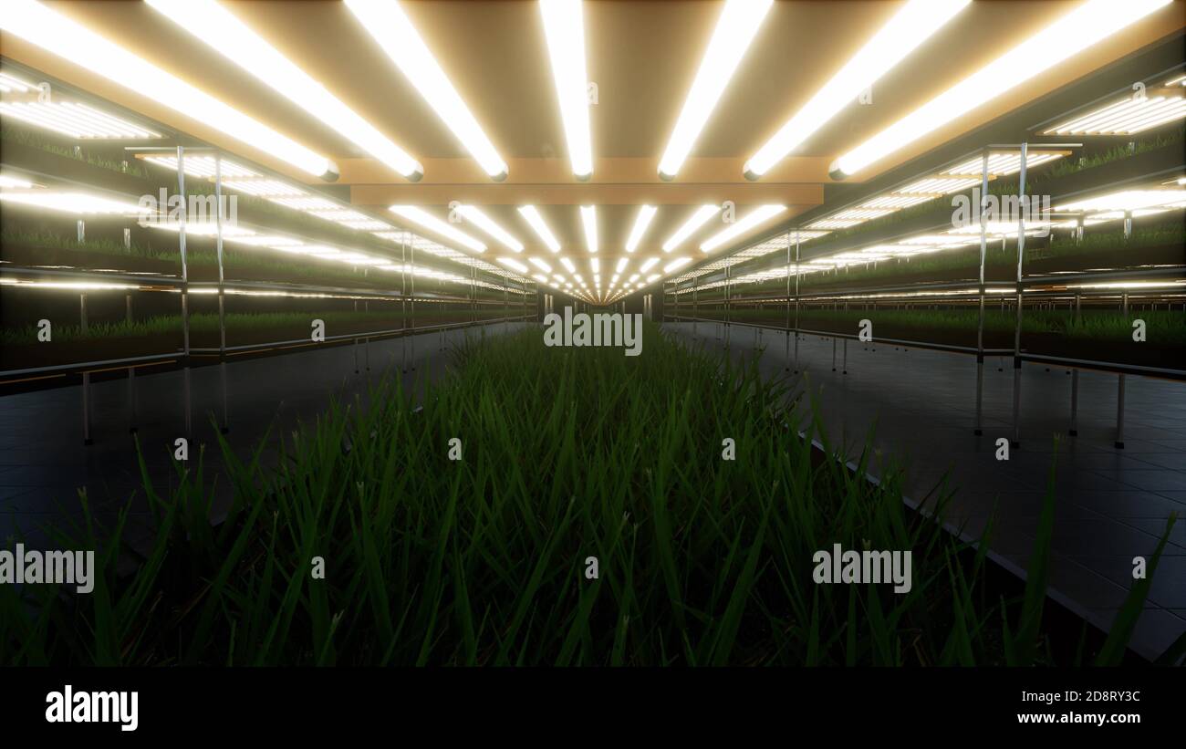 Grow Grass in the greenhouse hydroponic 3d rendering Stock Photo - Alamy
