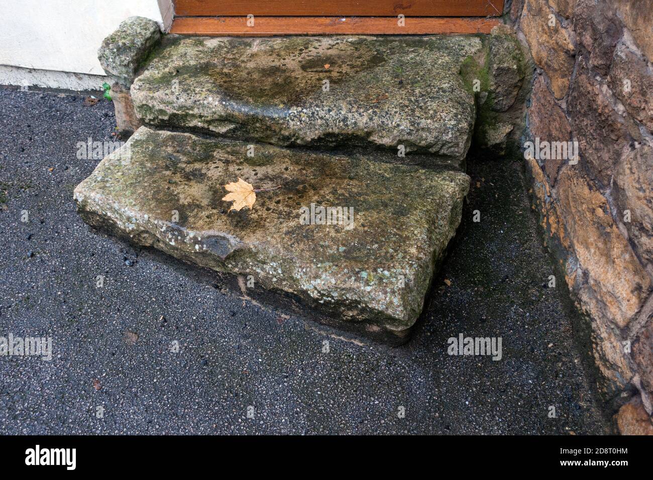 2 very old shallow stone door steps leading to a house front door Stock ...