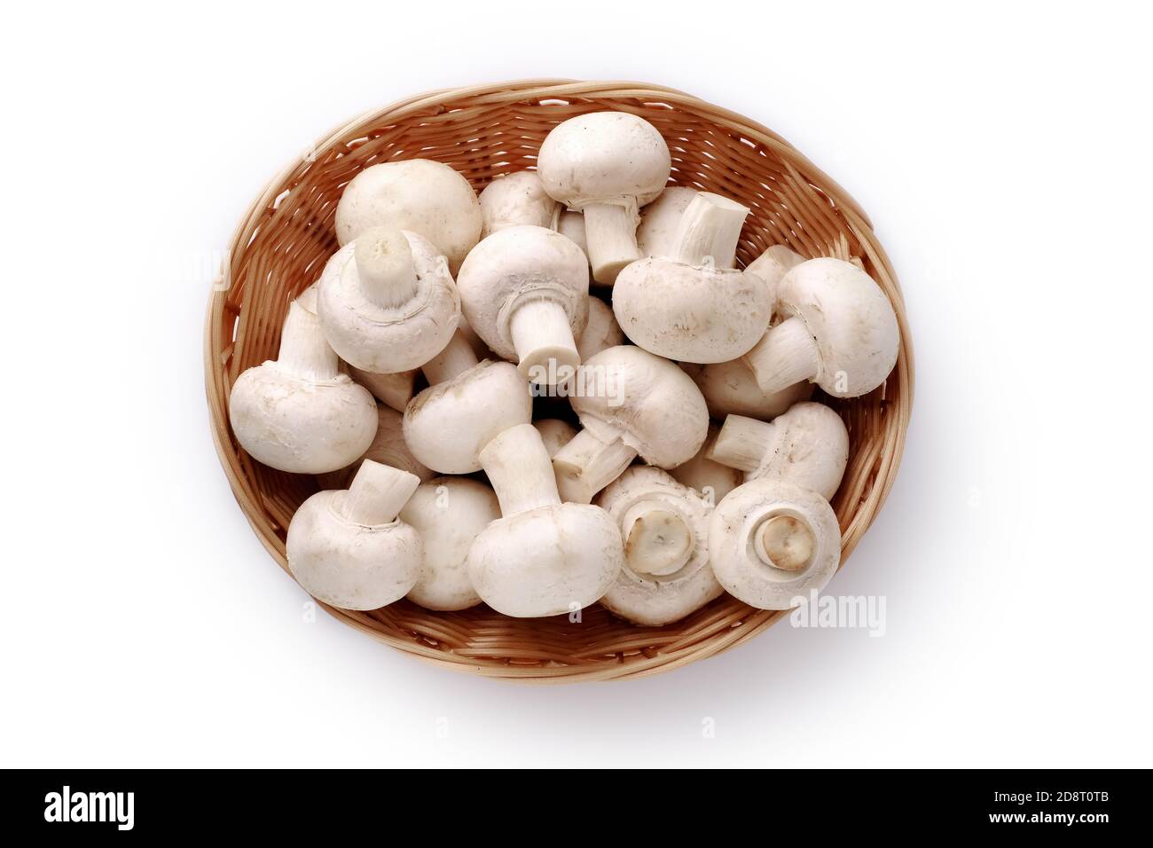 Space for text at top Cut Out Stock Images & Pictures - Alamy