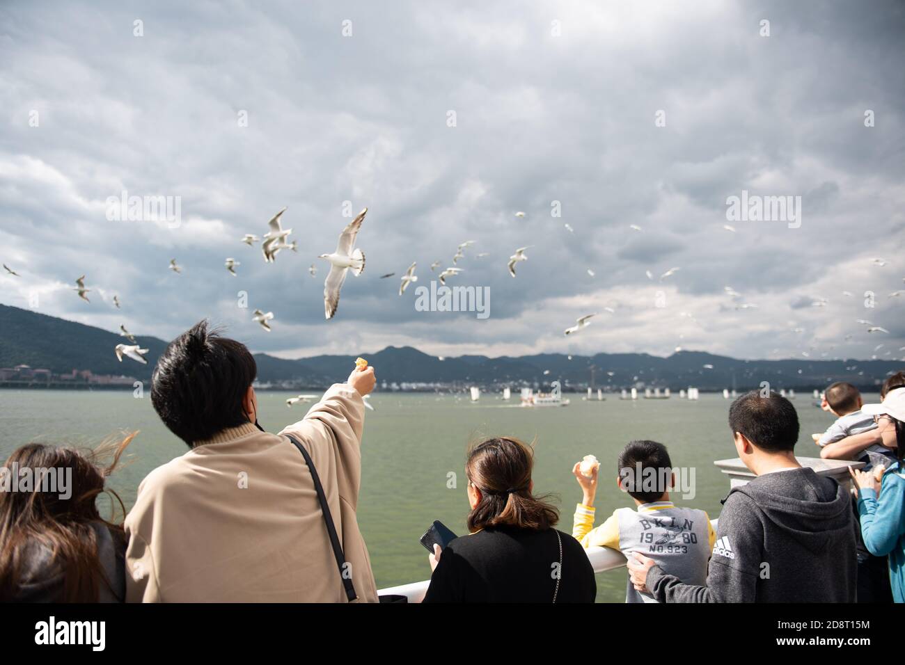 Kunming, China's Yunnan Province. 1st Nov, 2020. Tourists feed gulls at ...