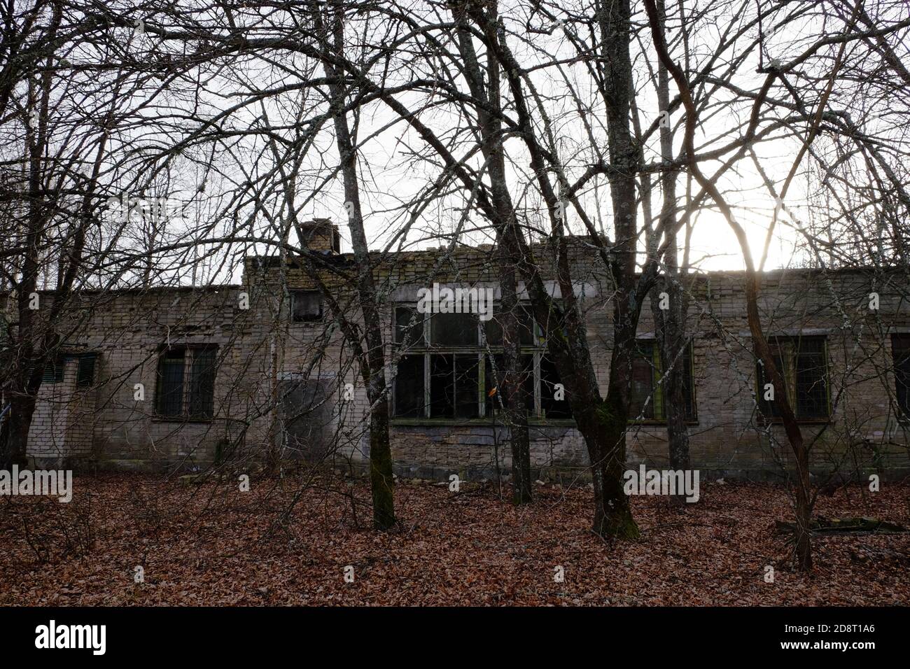 Abandoned brick buildings among trees in the Chernobyl radiation ...