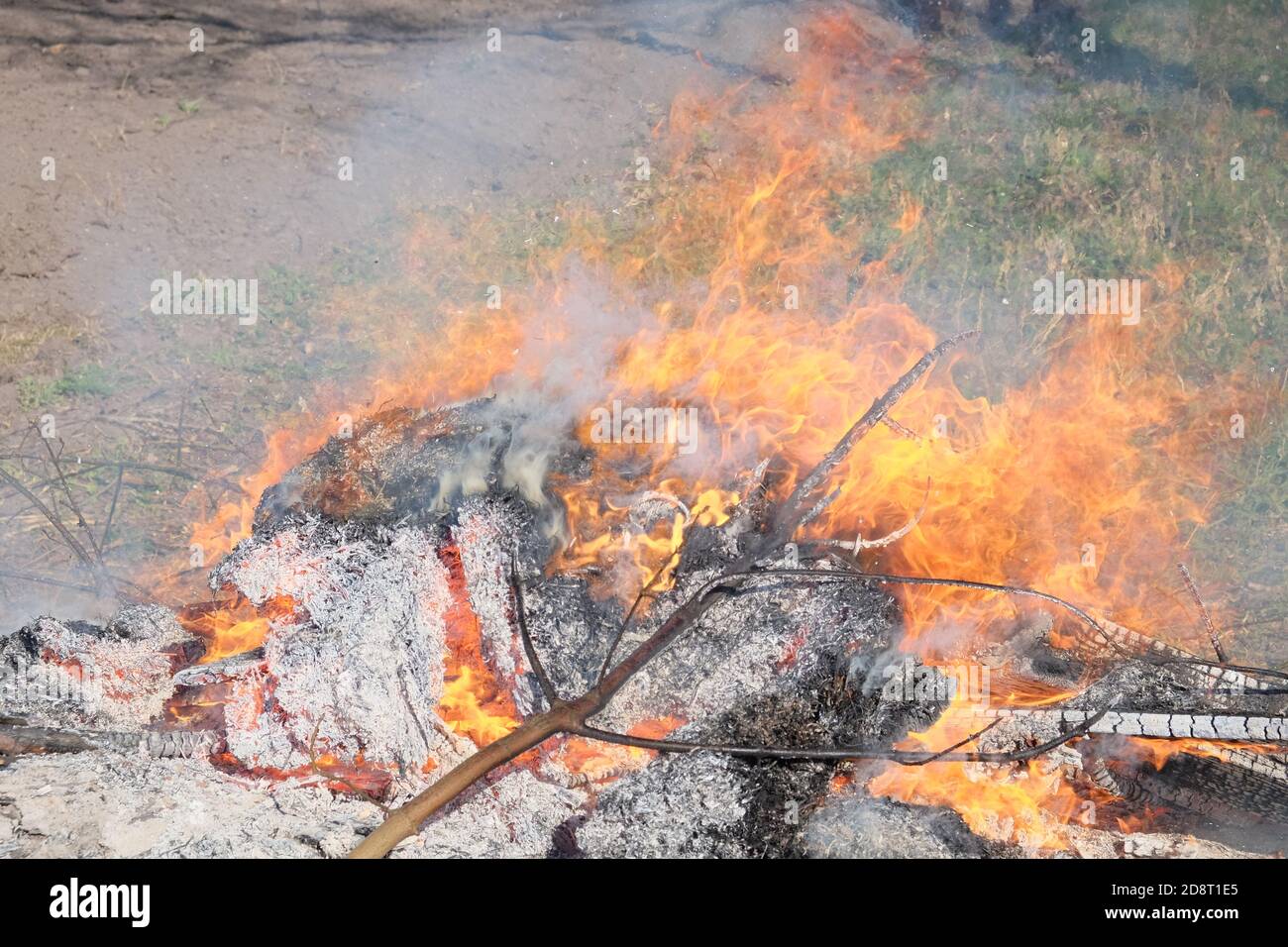 Big bonfire in the open air. A pile of ash from burnt boards and ...