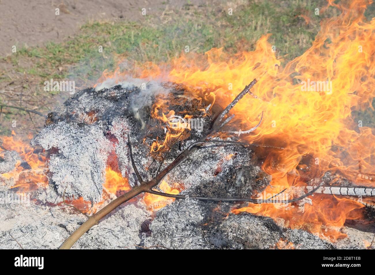 Big bonfire in the open air. A pile of ash from burnt boards and ...