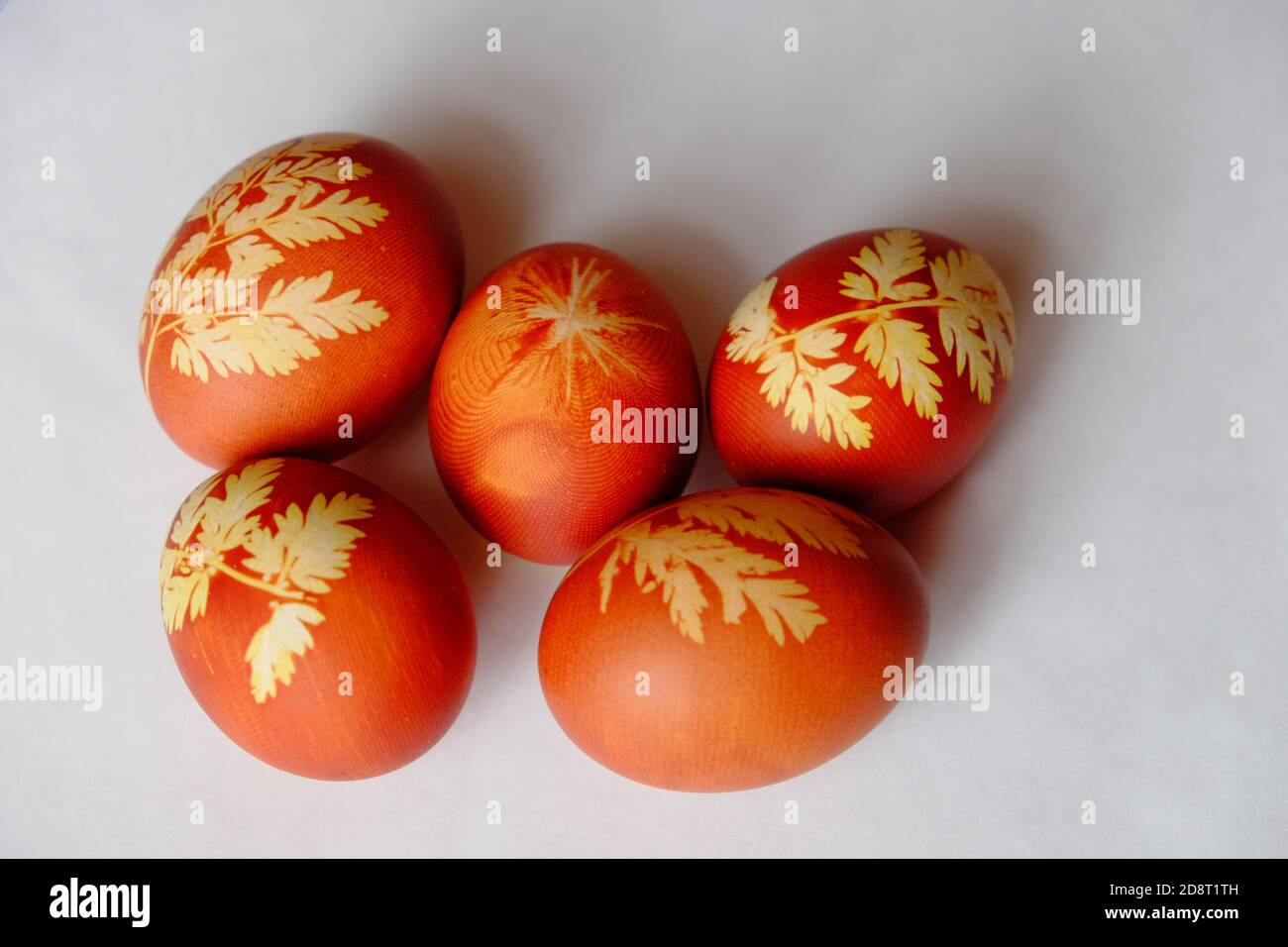 Painted Easter eggs on a white background. Floral pattern on a red ...