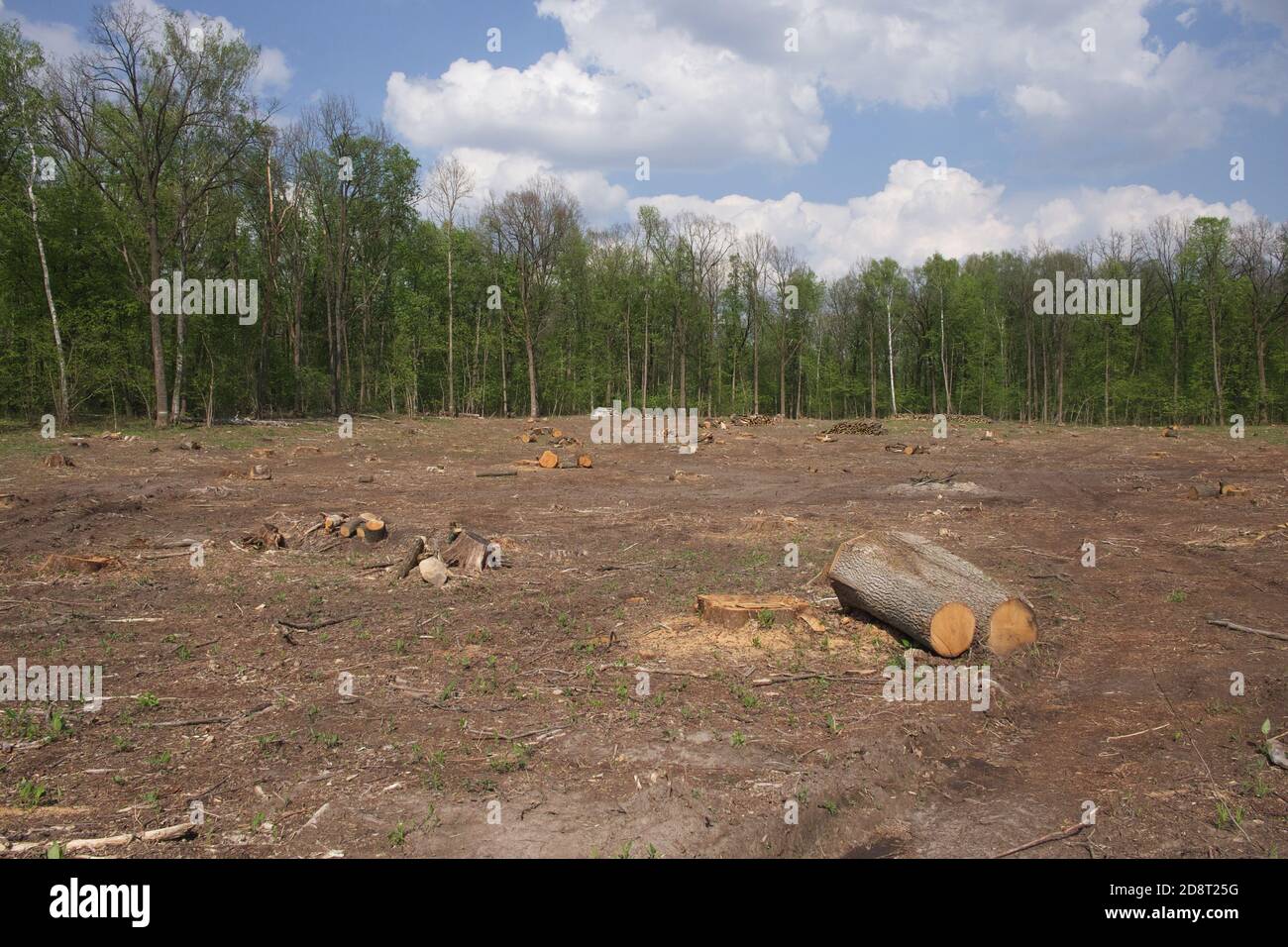 Wood harvesting hi-res stock photography and images - Alamy