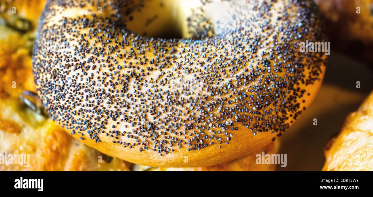 Close up on poppy seed bagel Stock Photo - Alamy
