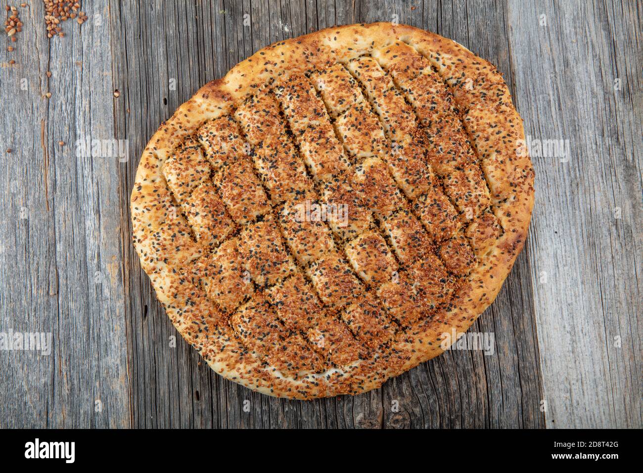 Holy pitta hi-res stock photography and images - Alamy