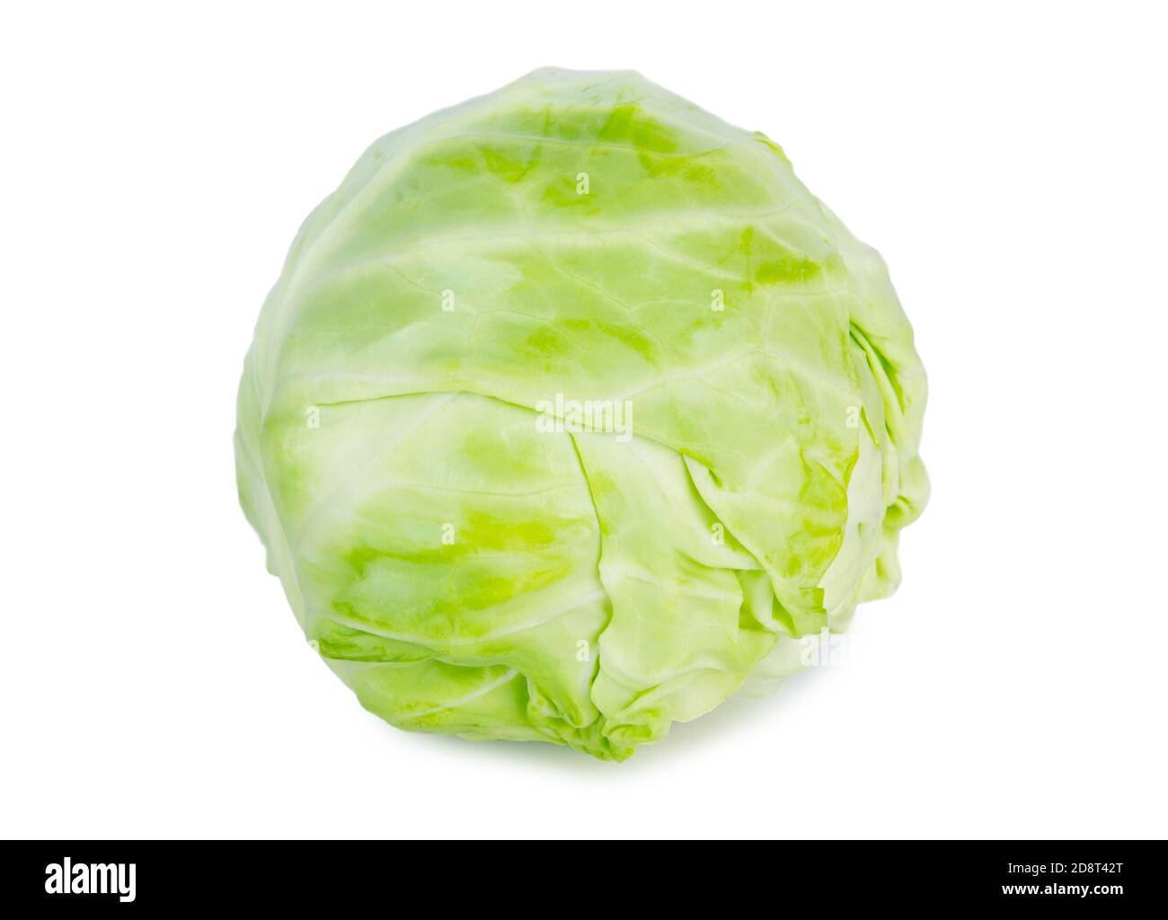 isolated fresh head of green cabbage Stock Photo - Alamy