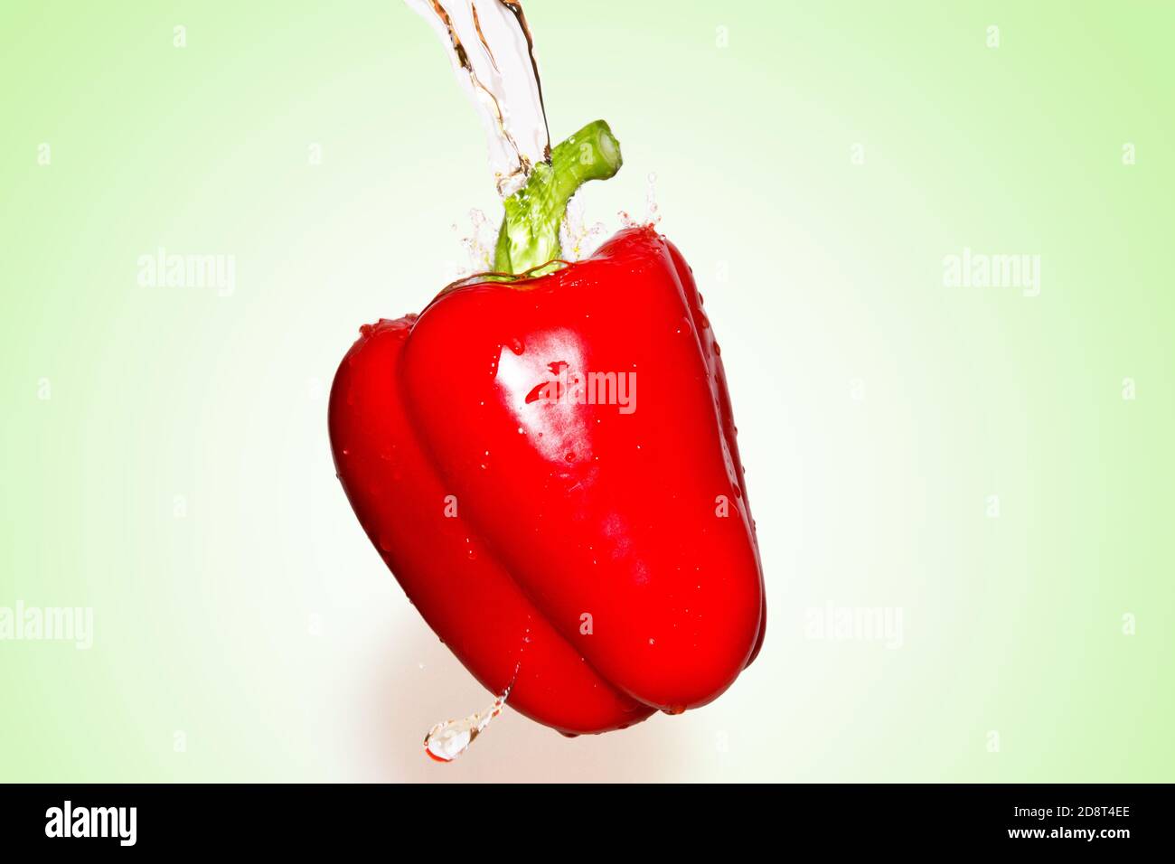 red pepper with water splash Stock Photo - Alamy
