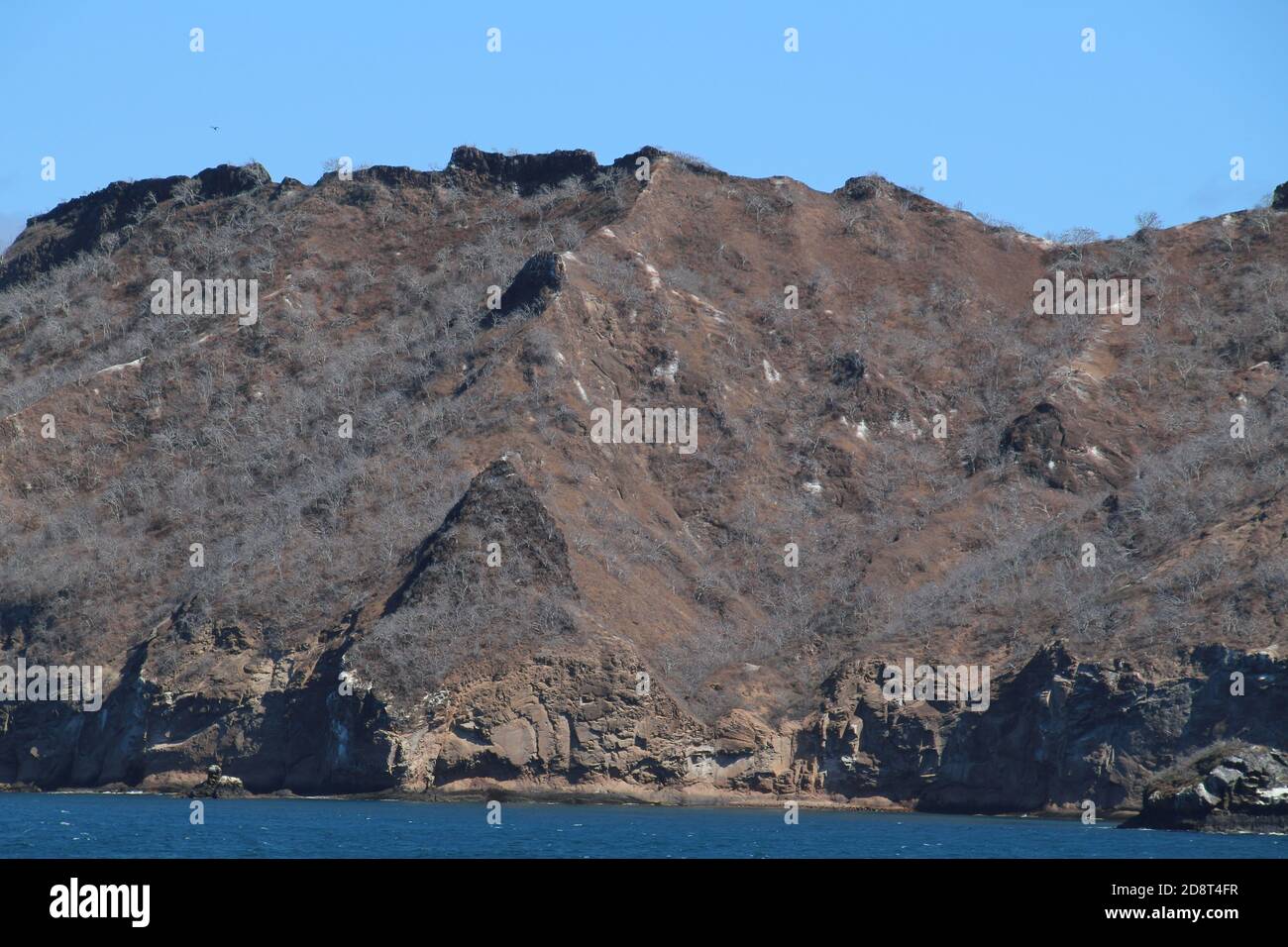 Daphne Major Island, Galapagos Island, Ecuador, South America Stock ...