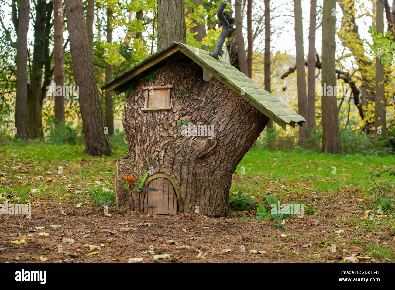 Tiny stump hi-res stock photography and images - Alamy