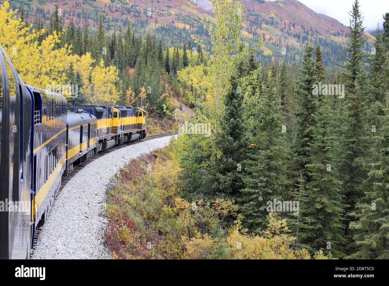 Train ride in autumn Alaska to Denali Stock Photo - Alamy