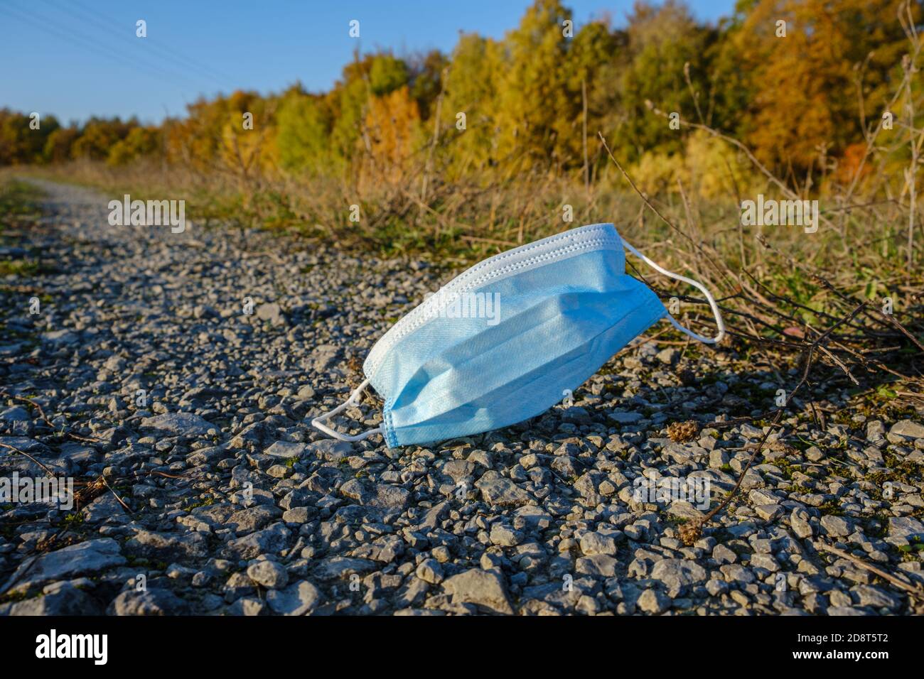 Fall environment hi-res stock photography and images - Alamy